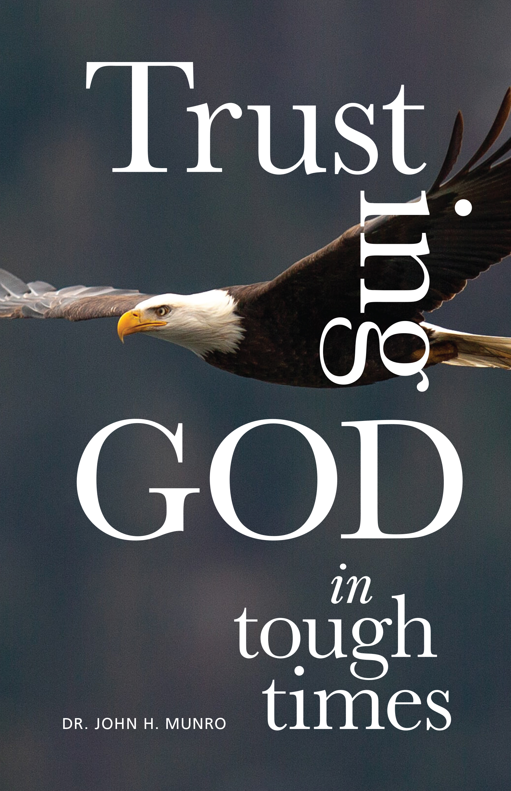 Booklet Download Trusting God in Tough Times – The Verdict with Pastor ...