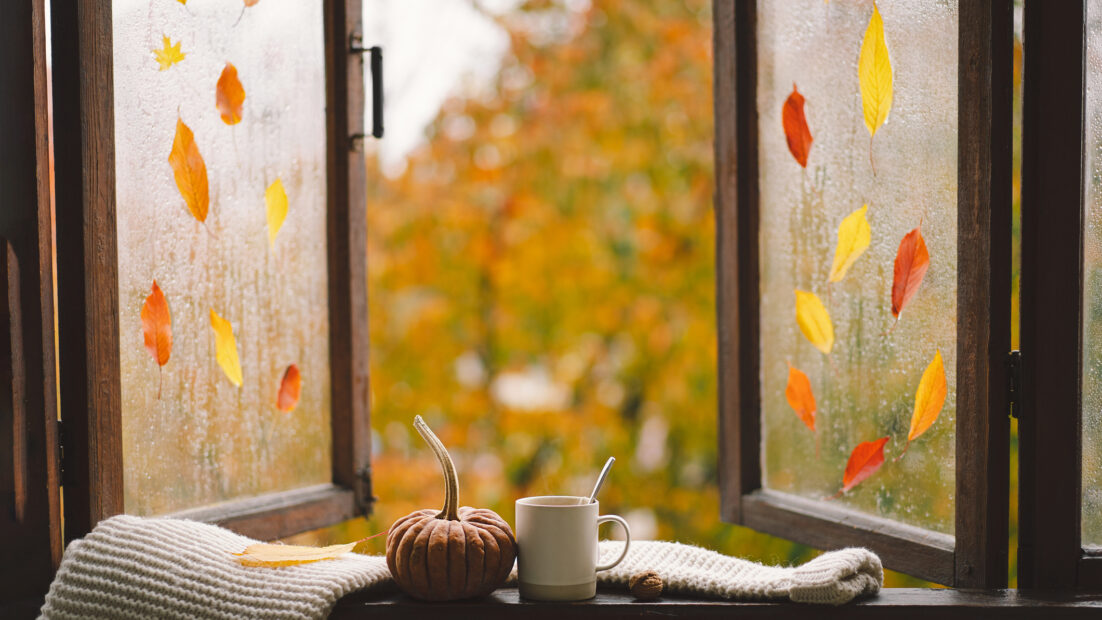 Avizandum Podcast – Page 2 – The Verdict with Pastor John Munro